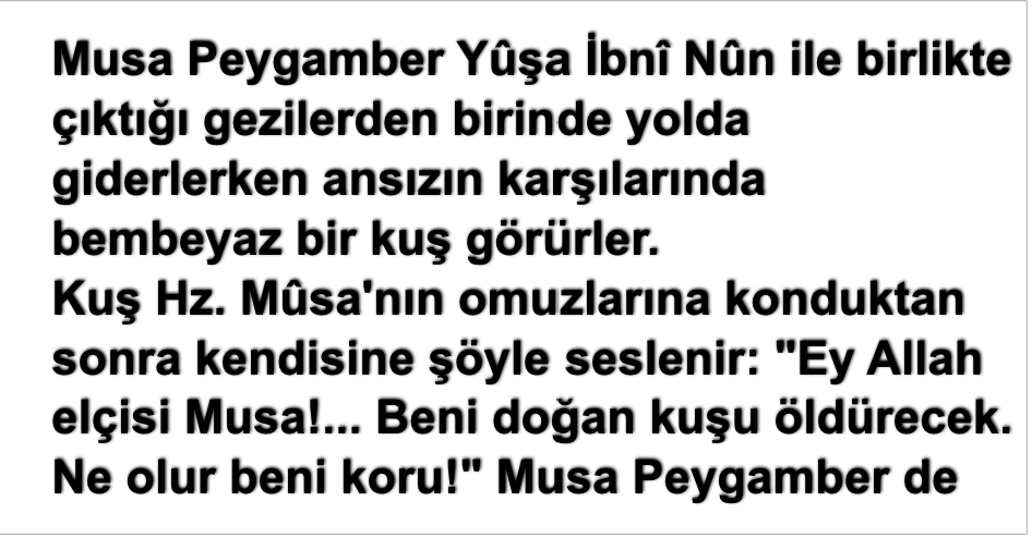 HZ.MUSA VE DOĞAN KUŞU'nun İbretlik Hikayesi >